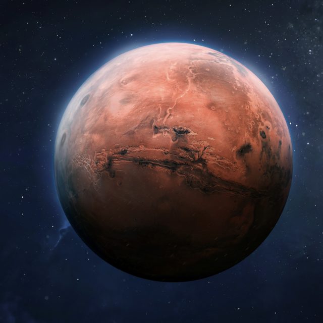 KerryWatch - Solomon Berg Returns